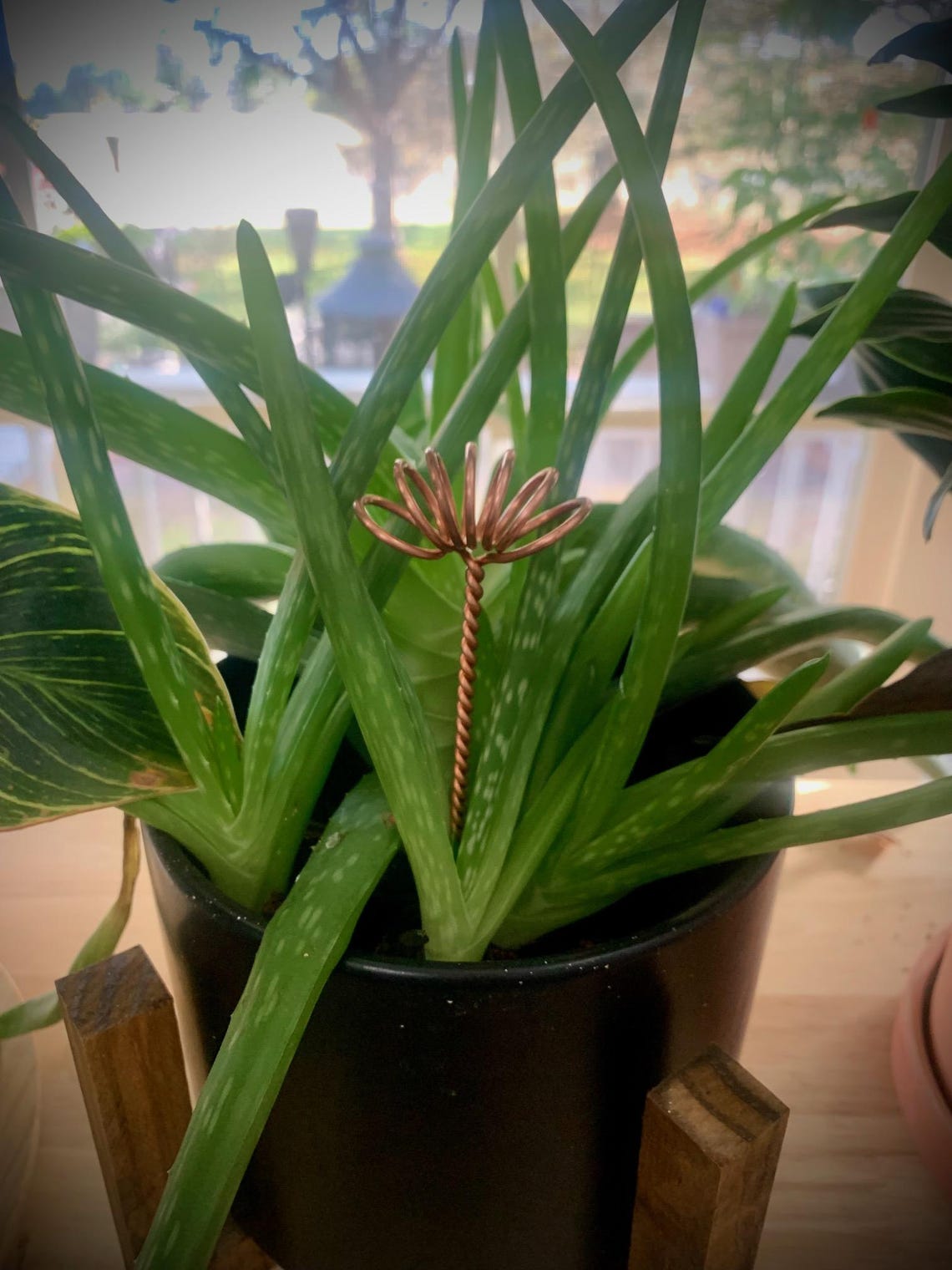 Flare Head Twisted Copper Stakes, Electroculture, 12ga Pure Solid Metal ...