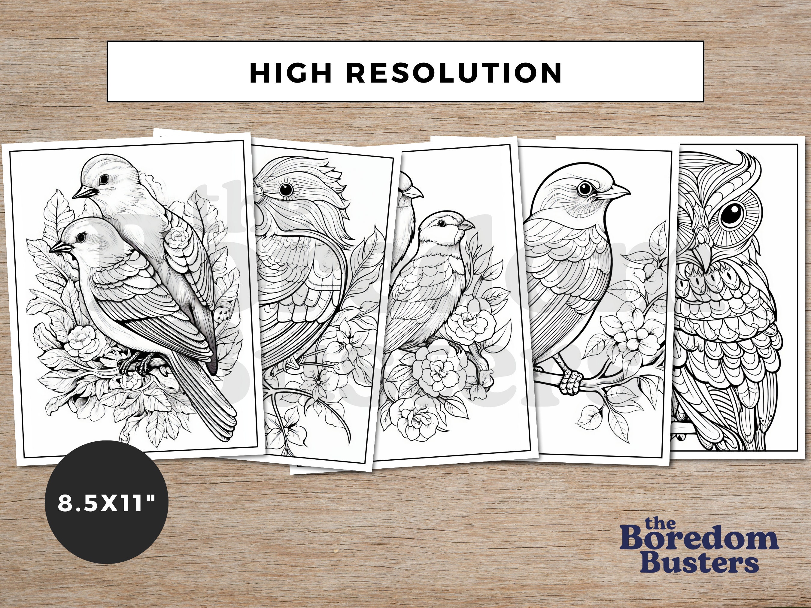 Mindfulness Birds Coloring Pages, Relaxing Wildlife Printable Book ...