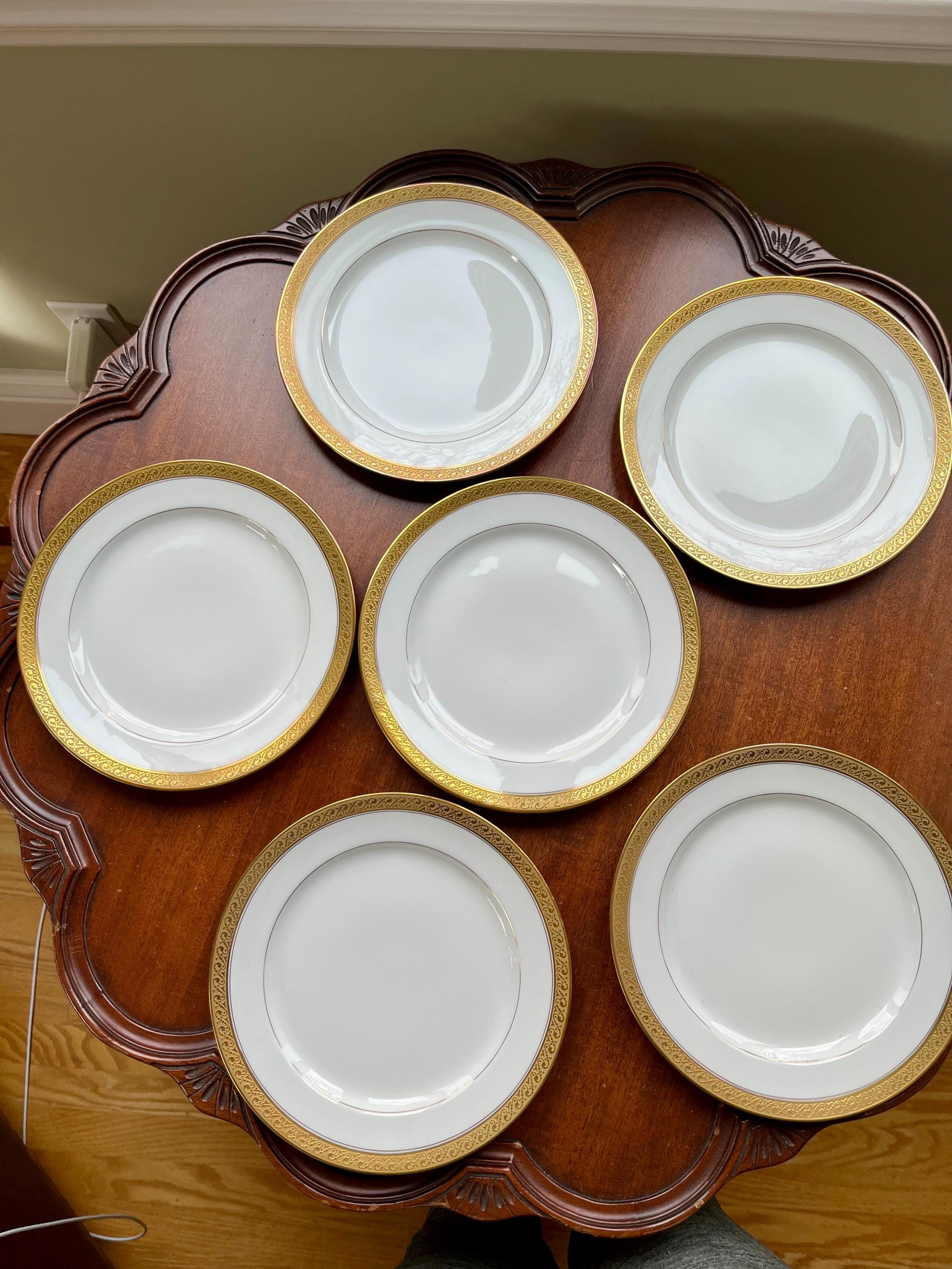 Set of 12 Vintage GOA France Limoges 8 1/2” China Plates - Etsy