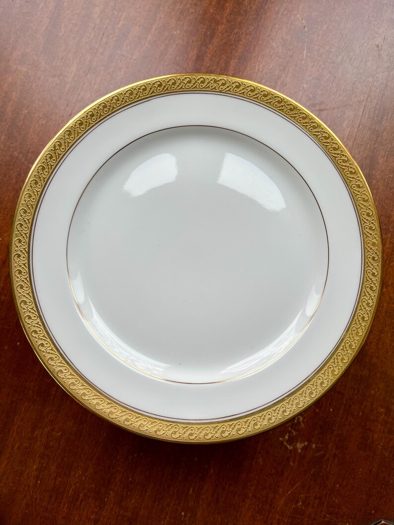 Set of 12 Vintage GOA France Limoges 8 1/2” China Plates - Etsy