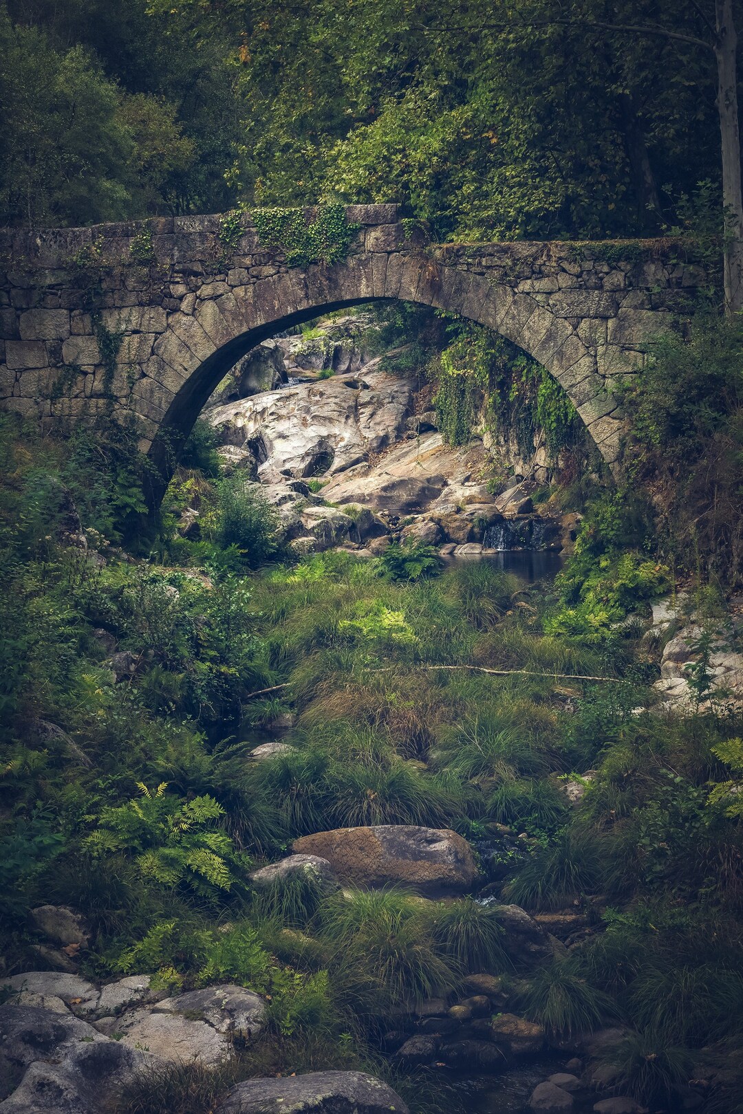 Landscape Printable Photo Old Bridge Downloadable Digital Image Nature ...
