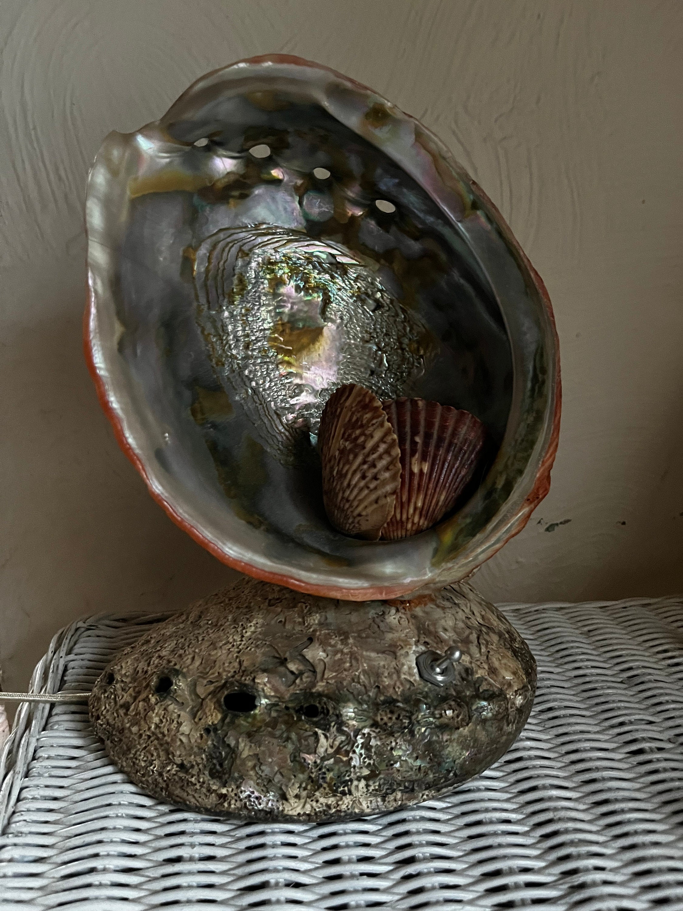 Vintage Abalone Shell Lamp - Etsy