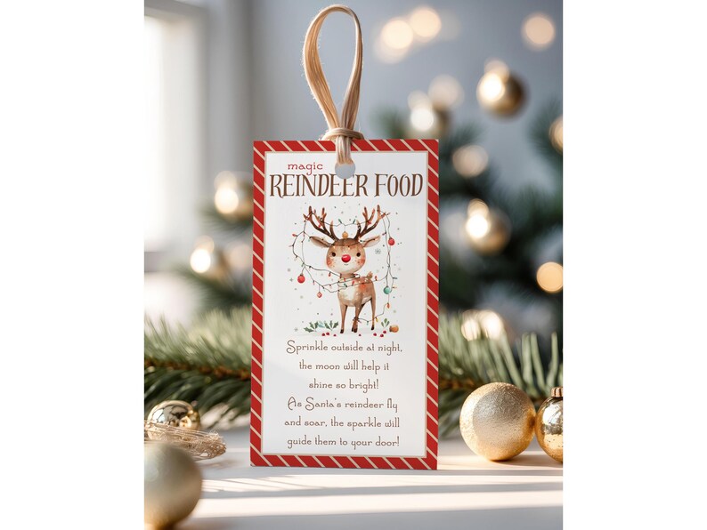 Reindeer Food Gift Tag: (instant Download) - Etsy