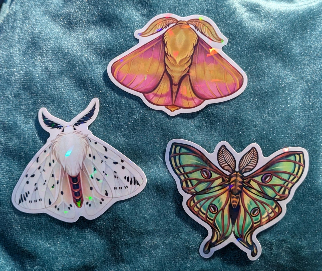Holo Moth Stickers, Rosy Maple Moth, Moon Moth, Luna Moth, Ermine Moth ...