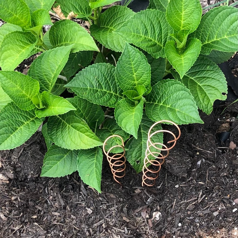 Electroculture Gardening Set Plant Tools Plant Lover Gift - Etsy