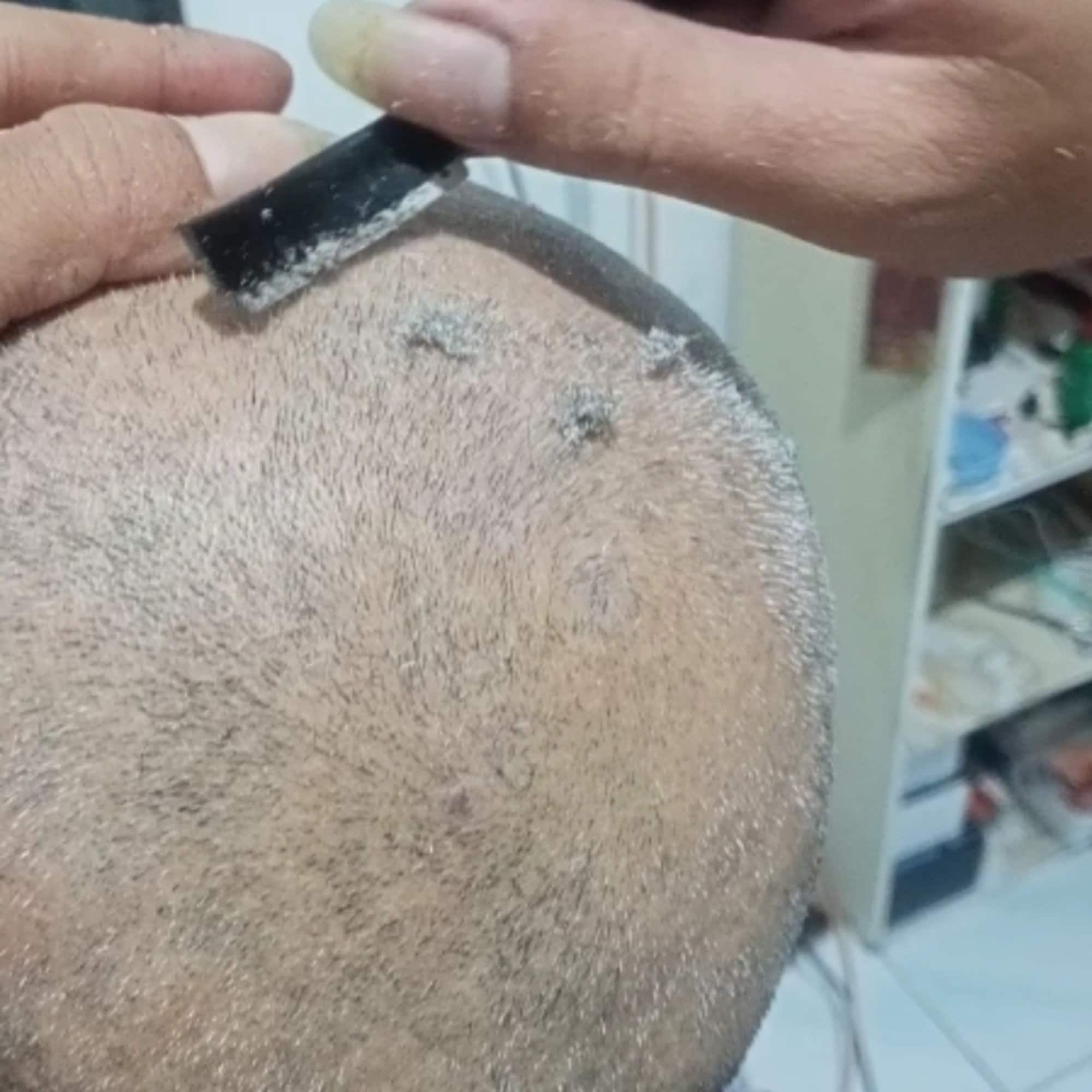 Curved Razor for Barber's and Salon's (type-c Regular) Easier, Fast and ...