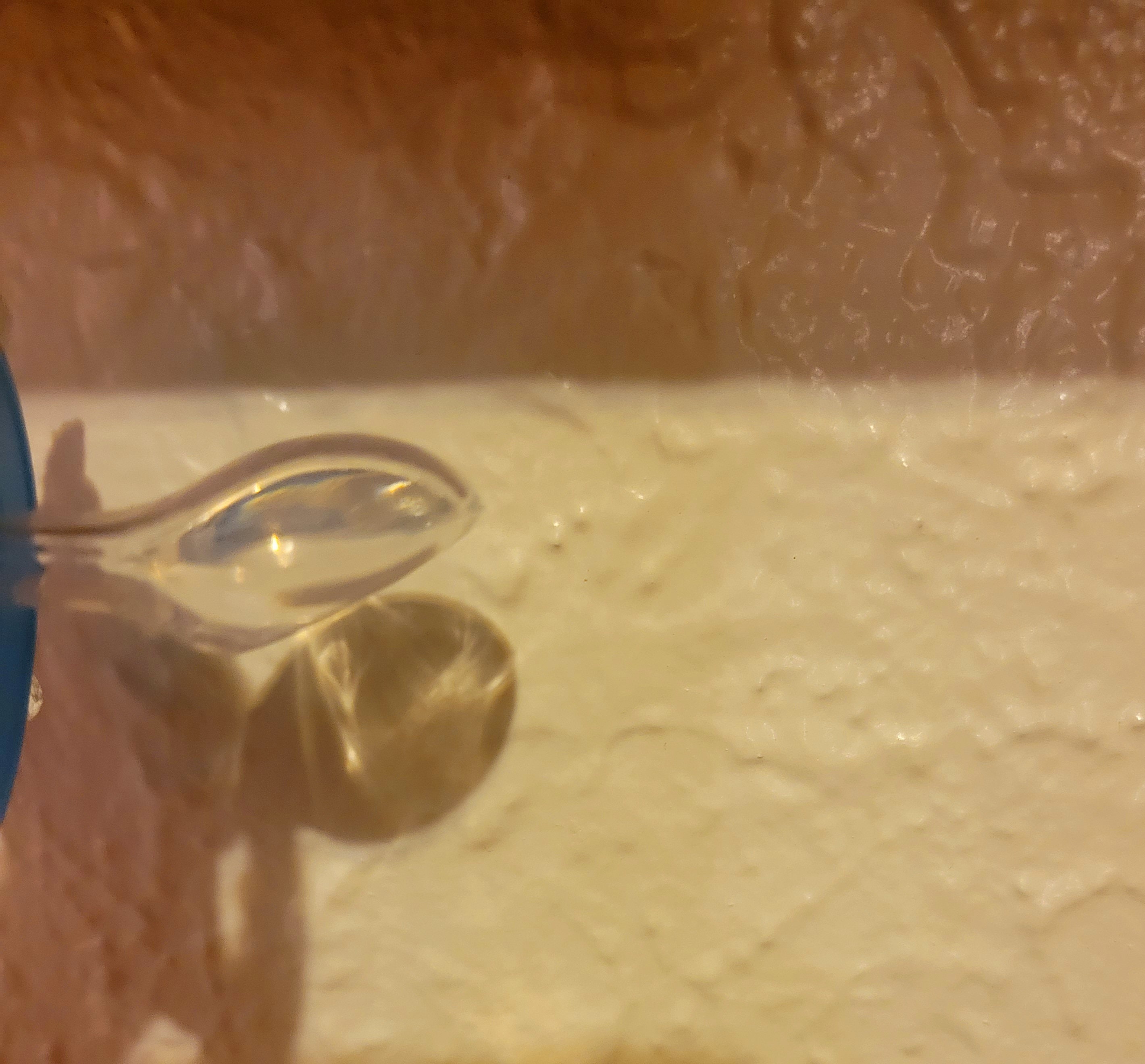 Adult Pacifier ABDL Adult Baby Pacifier age Regress-large Paci With ...