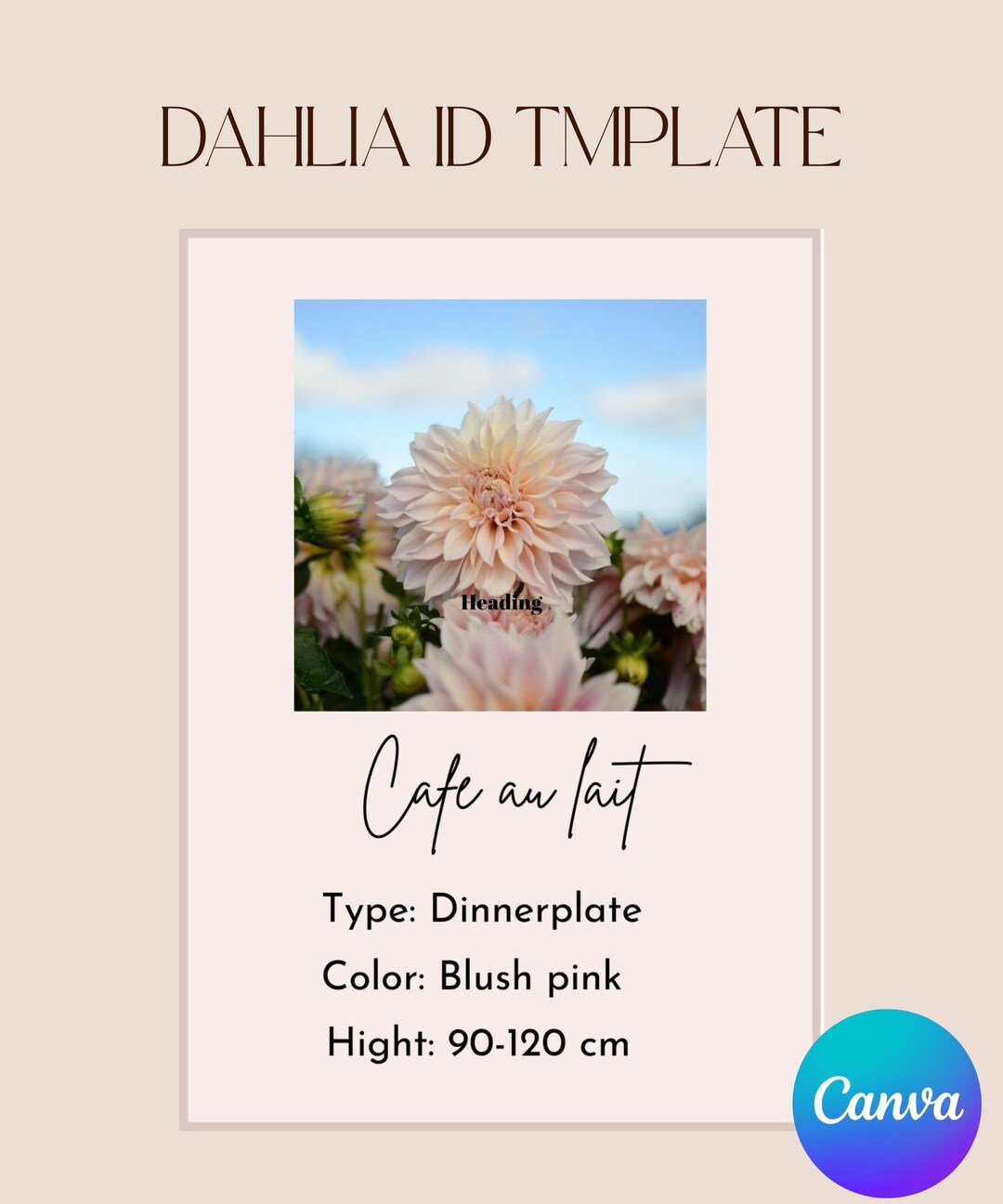Dahlia ID Template - Etsy