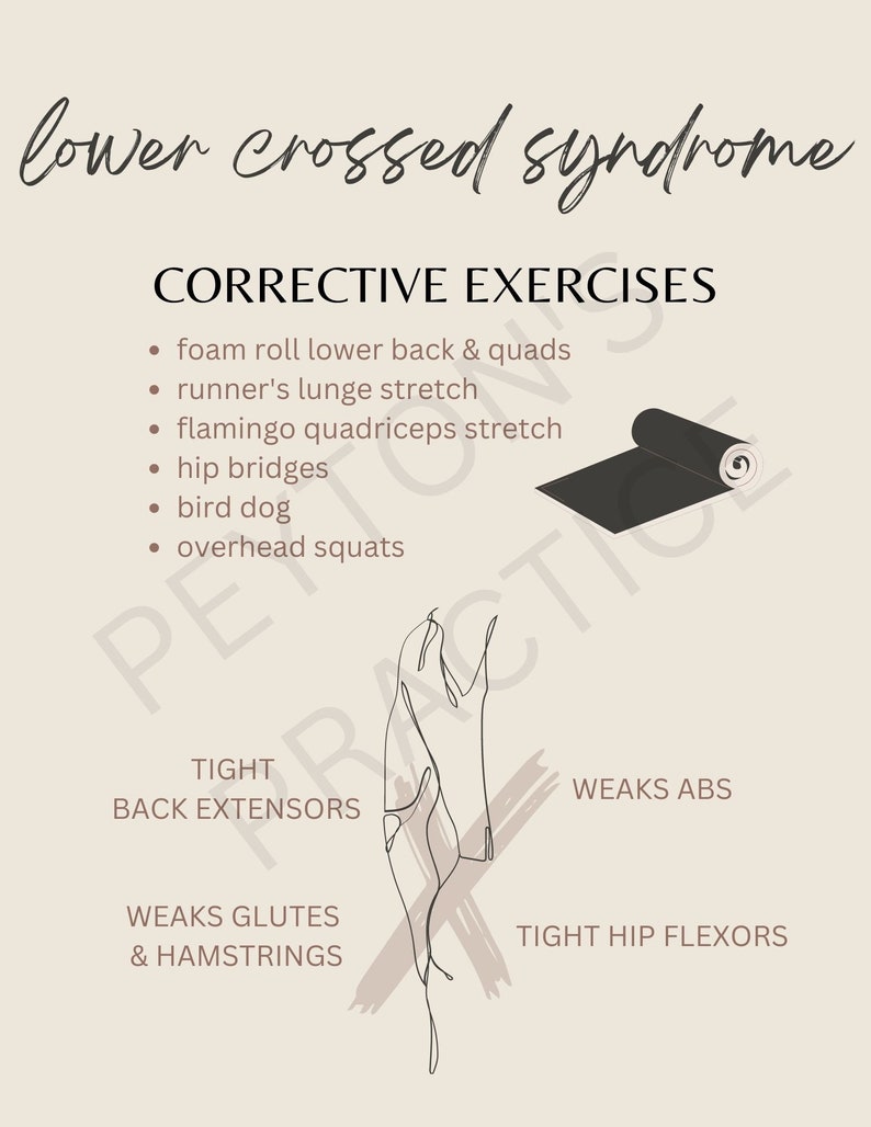 LOWER CROSSED SYNDROME Poster // Physical Therapy, Chiropractic ...