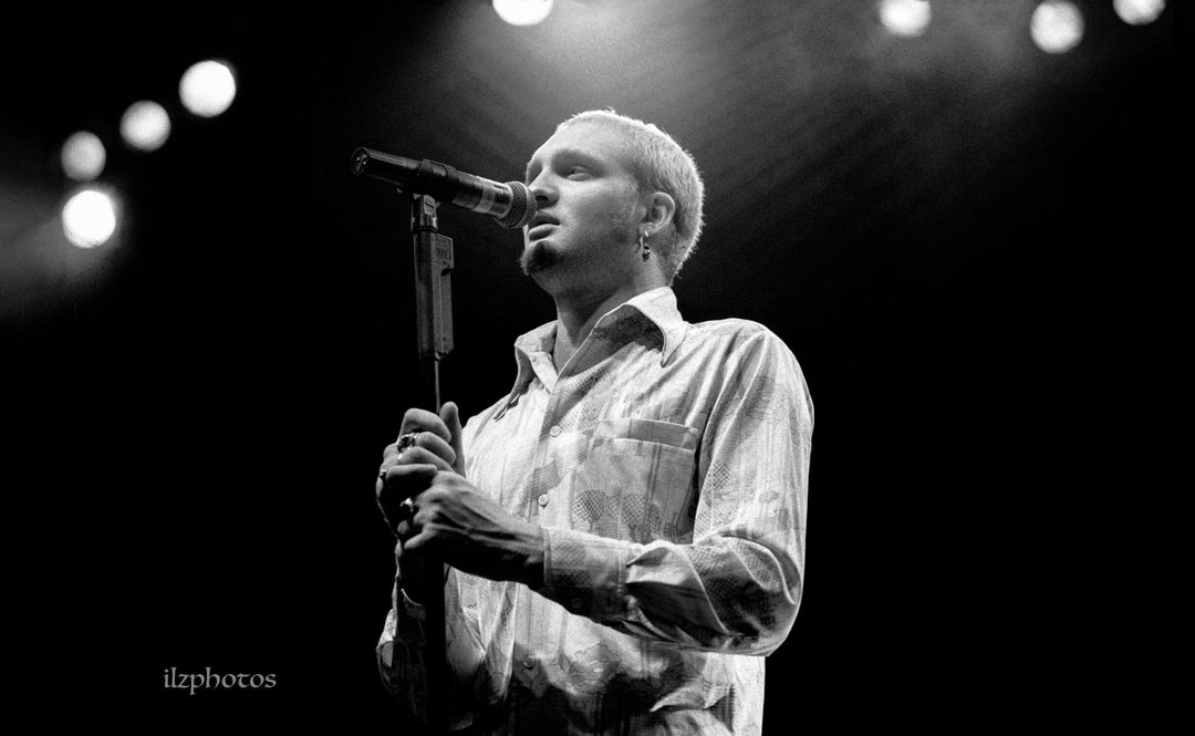 Layne Staley Art / Alice in Chains Concert Poster / Layne Staley Poster ...