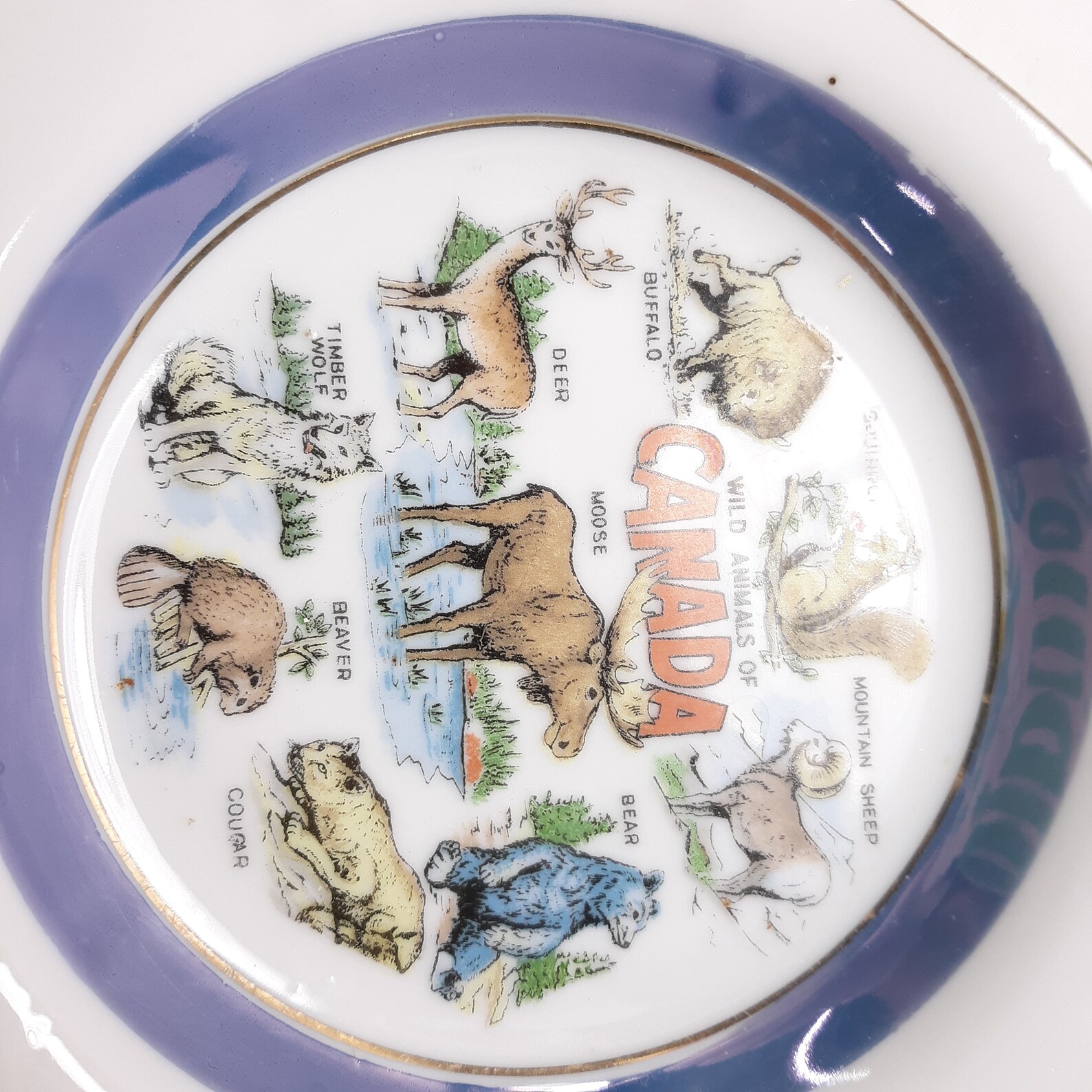 Canada Wild Animals Souvenir Ashtray Vintage Moose Wolf Bear Cougar ...