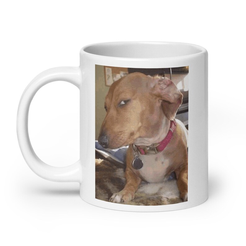 Bombastic Side Eye Dog Funny Sarcastic Judgemental Dog Meme - Etsy