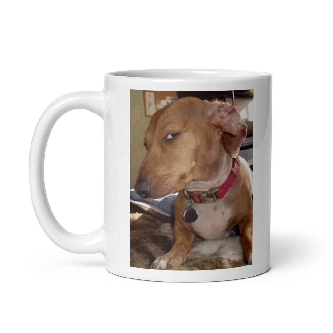 Bombastic Side Eye Dog Funny Sarcastic Judgemental Dog Meme - Etsy