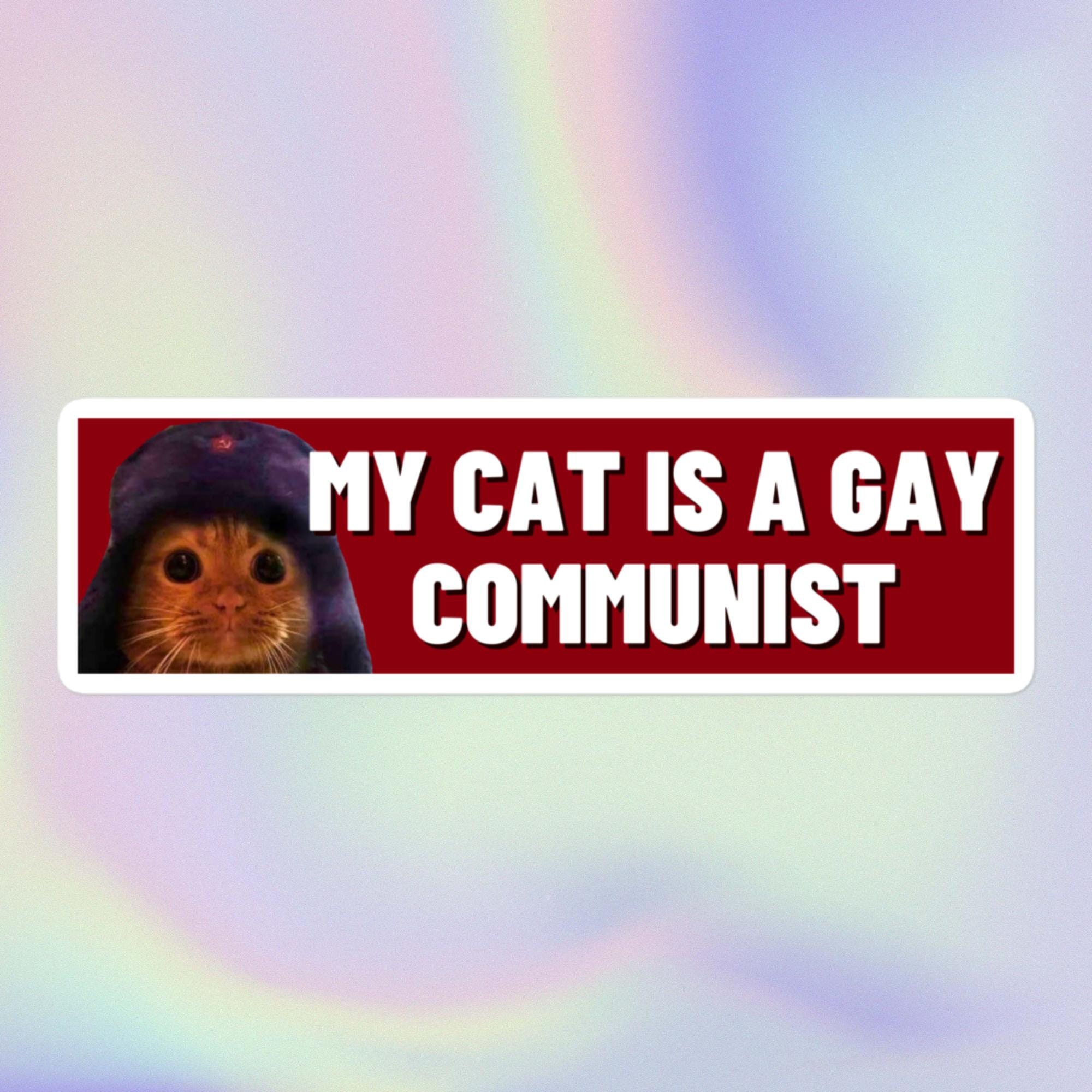My Cat is a Gay Communist | Funny Sarcastic Offensive Unhinged ...
