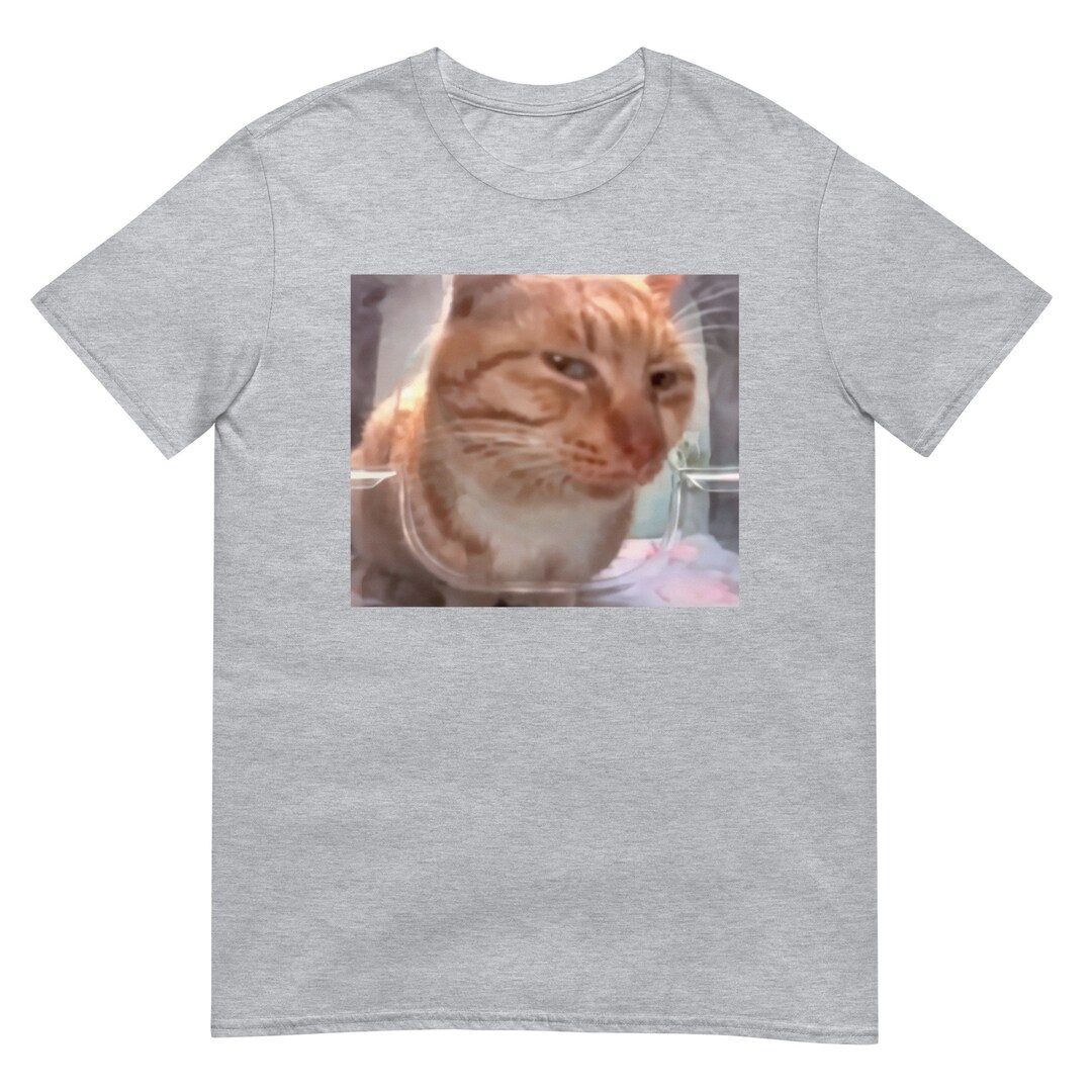Bombastic Side Eye Cat Funny Sarcastic Judgemental Cat Meme Short ...