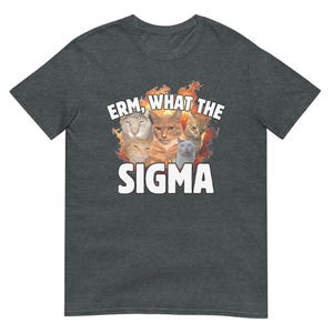 Erm, What the Sigma Funny Sarcastic Offensive Viral Brainrot Cat Meme ...