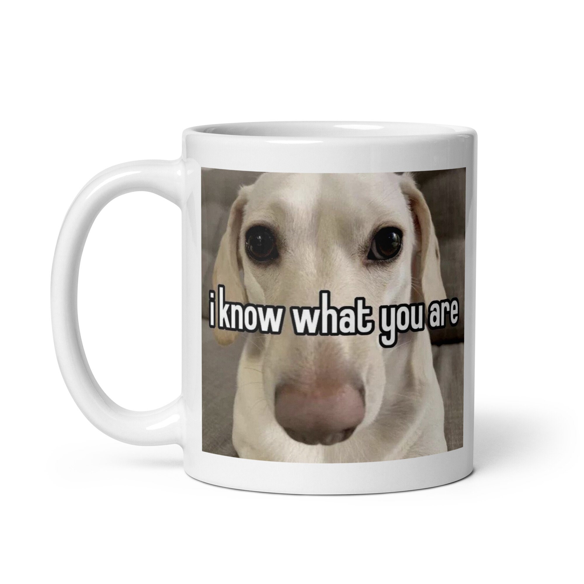 I Know What You Are Funny Meme Design White Glossy Mug - Etsy