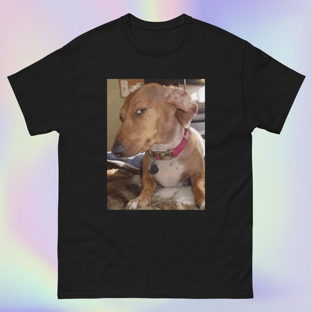 Bombastic Side Eye Dog | Funny Sarcastic Judgemental Dog Meme Print ...