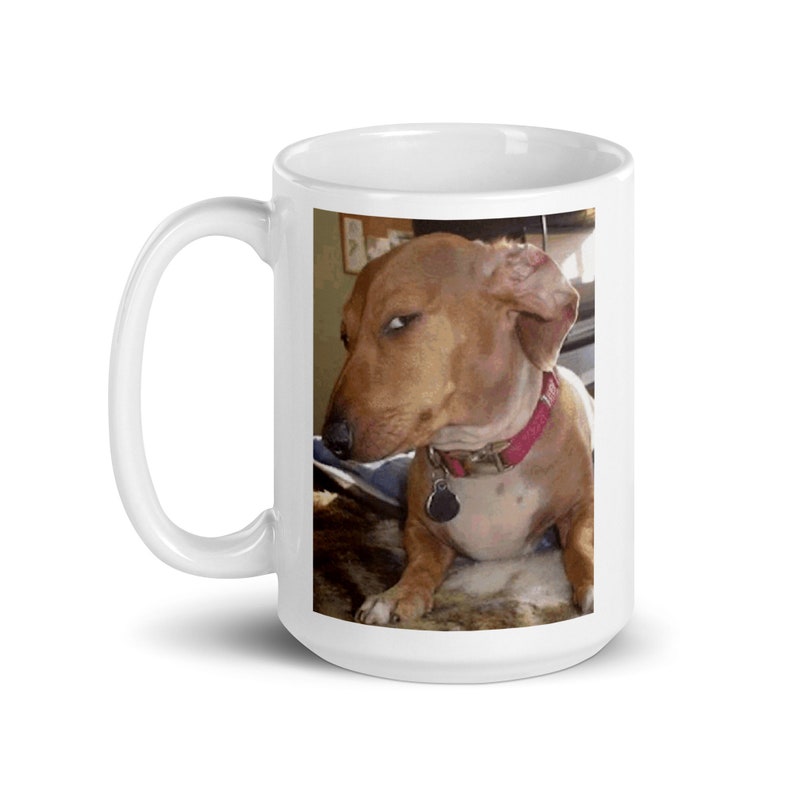 Bombastic Side Eye Dog Funny Sarcastic Judgemental Dog Meme - Etsy