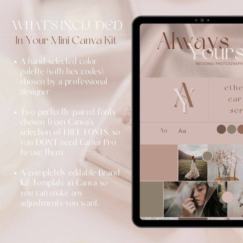 Mini Branding Kit With Color Palette and Canva Free Font Pairing ...