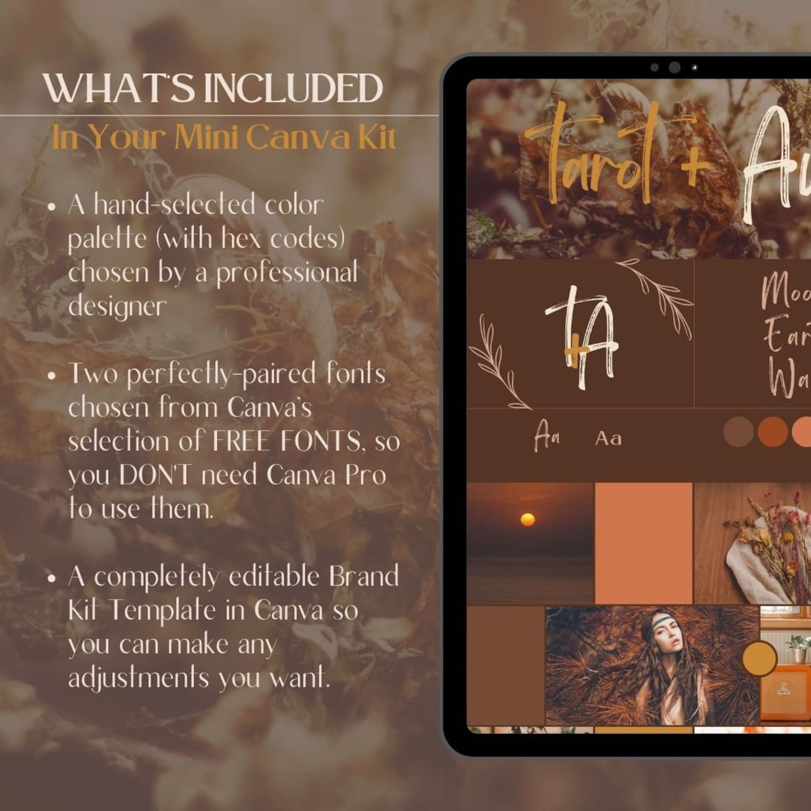 Mini Branding Kit With Color Palette and Canva Free Font Pairing ...