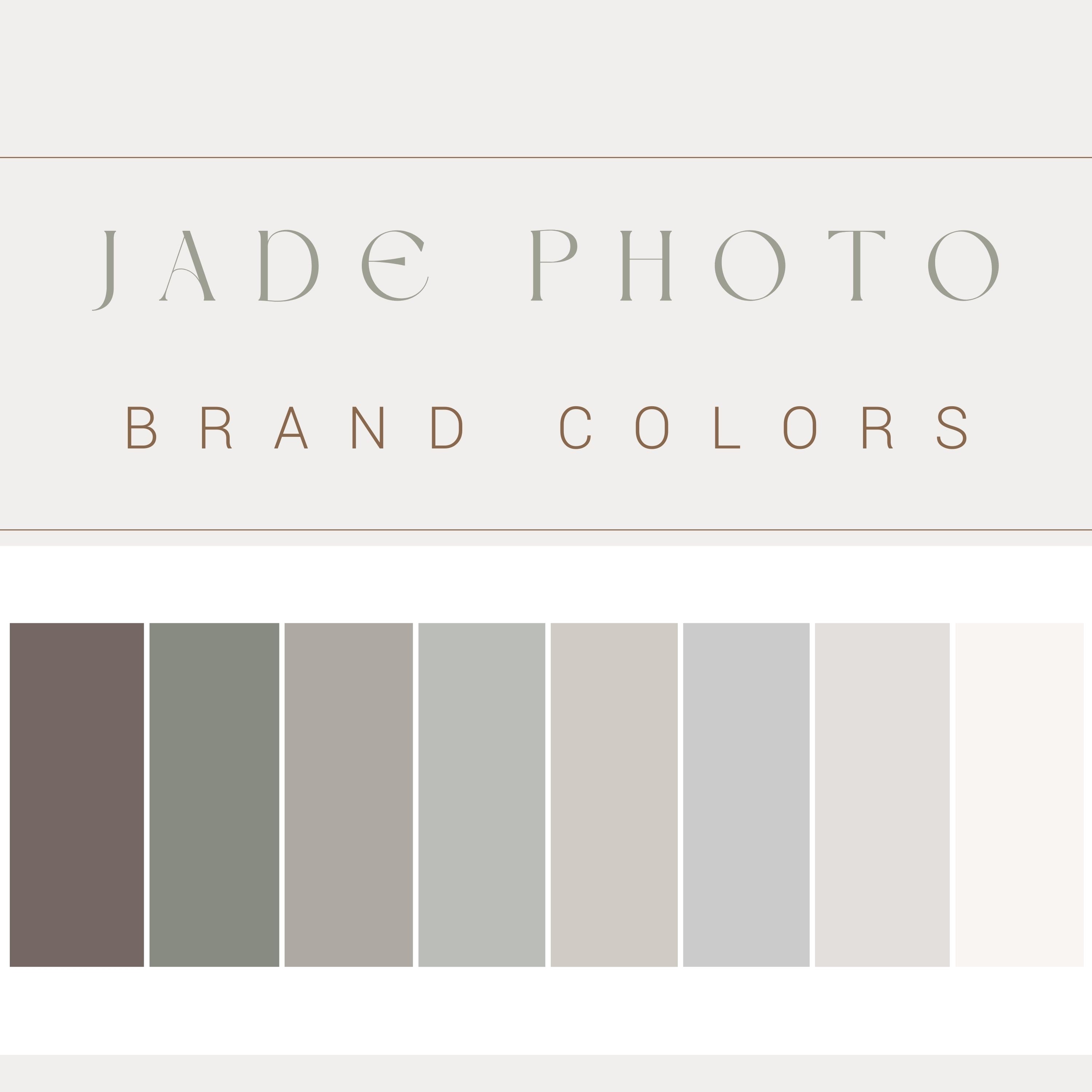 Jade Branding Kit With 3 Logos Brand Colors, Fonts, and Elements ...