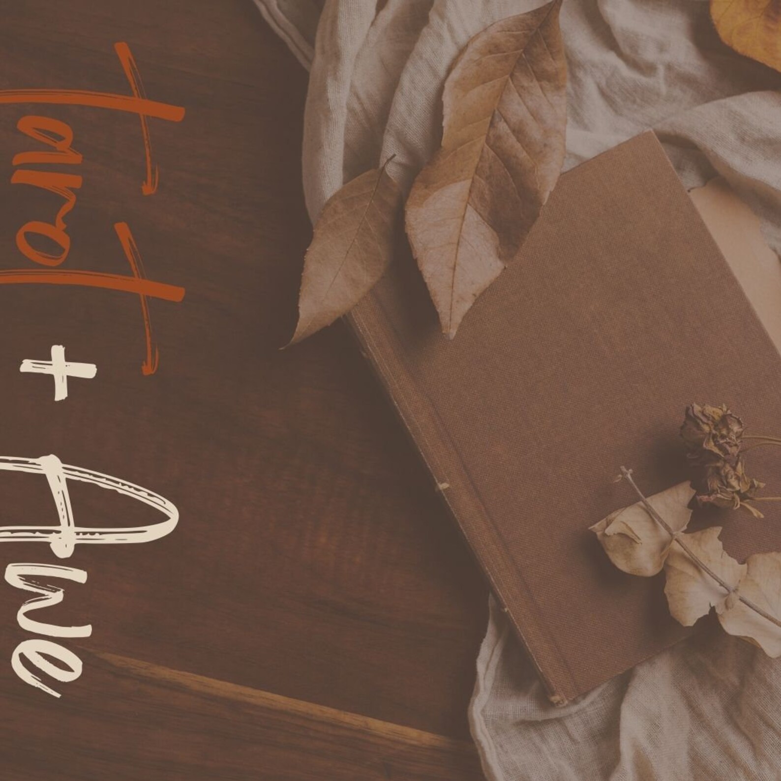 Mini Branding Kit With Color Palette and Canva Free Font Pairing ...
