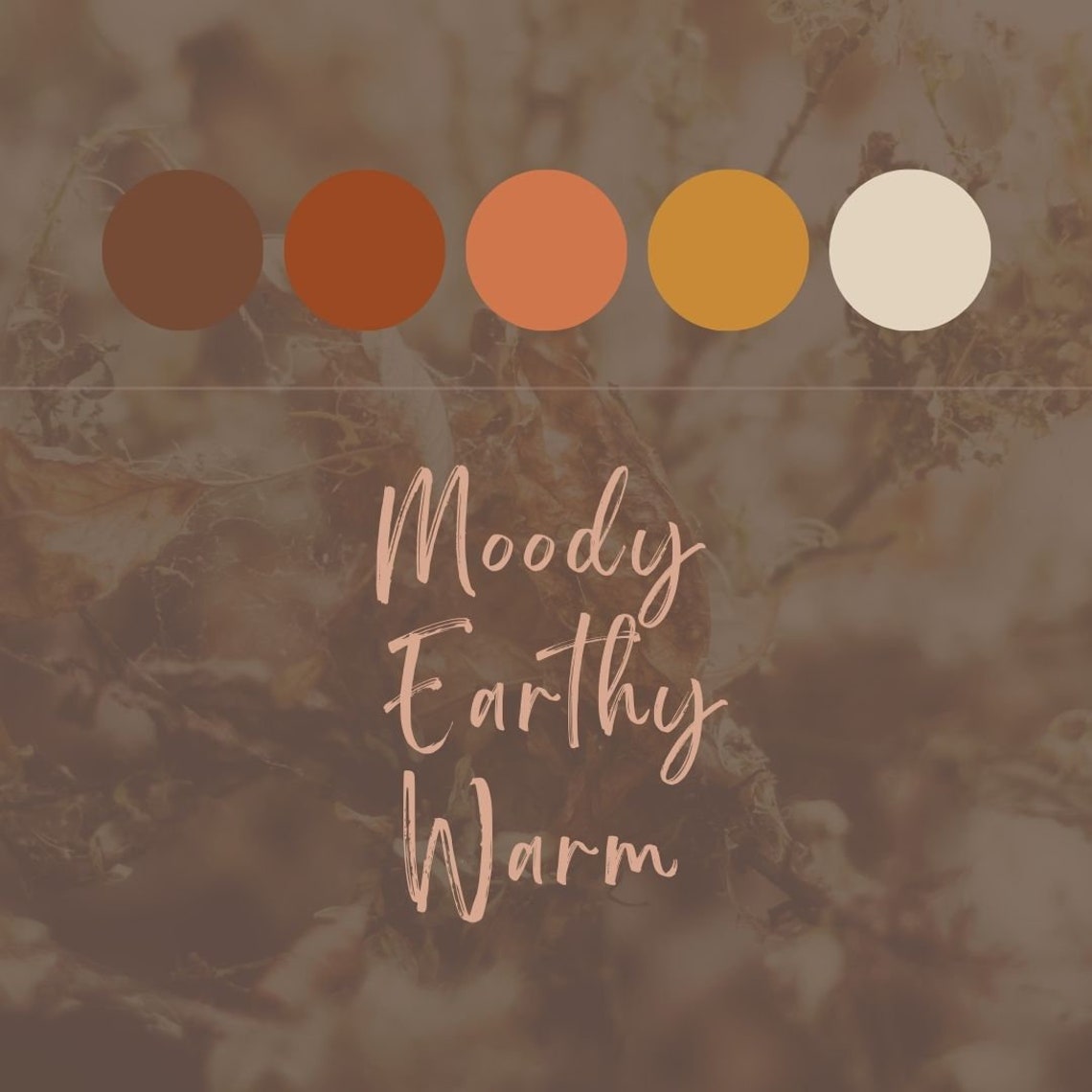 Mini Branding Kit With Color Palette and Canva Free Font Pairing ...