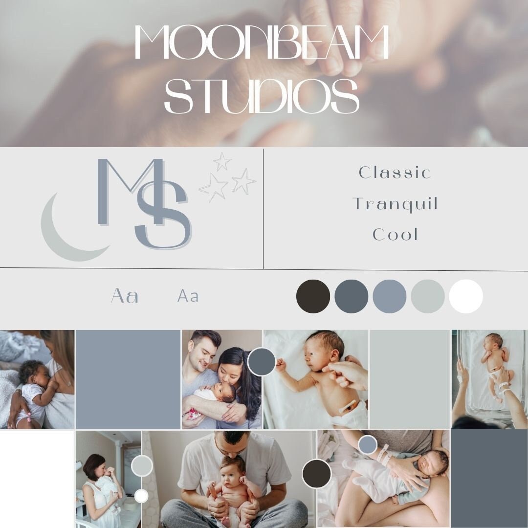 Mini Branding Kit With Color Palette and Canva Free Font Pairing ...