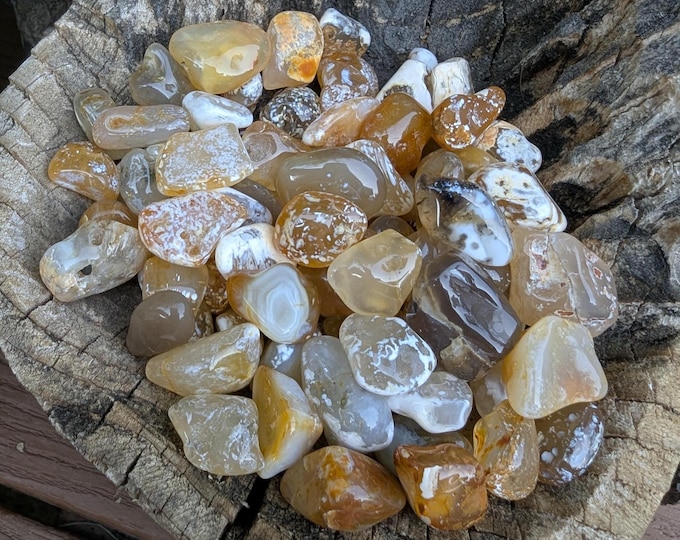 Polished Oregon Agate Collection: Carnelian, Blues, and Banded Stones ...