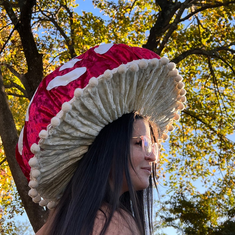 Mushroom Costume - Etsy