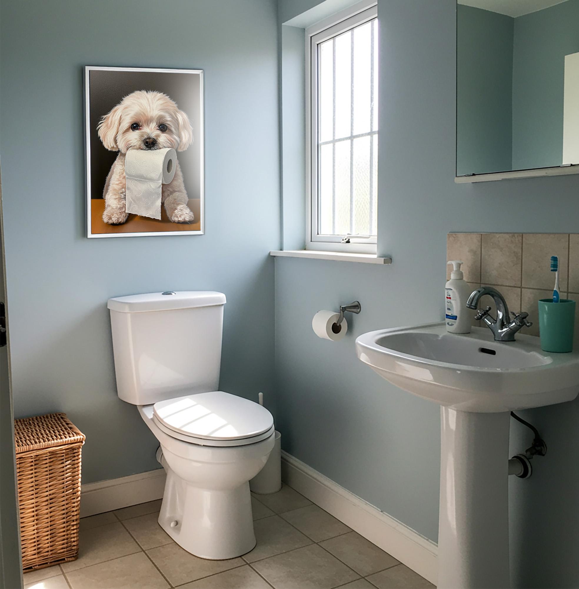 Bichon Frisé With Toilet Paper Roll in Mouth, Toilet Humor, Bichon ...