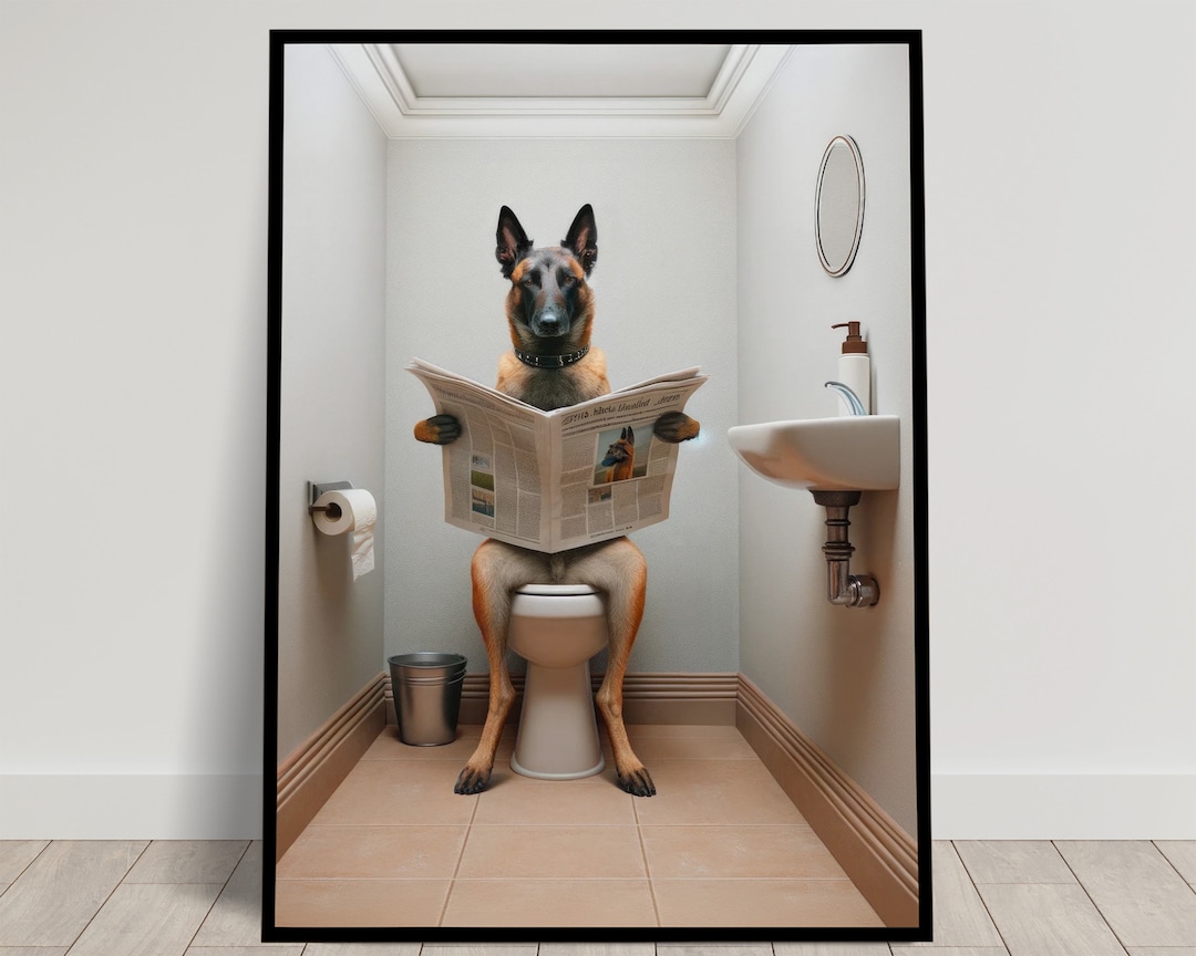 Photo of a Belgian Malinois Dog Reading the Newspaper on the Toilet ...