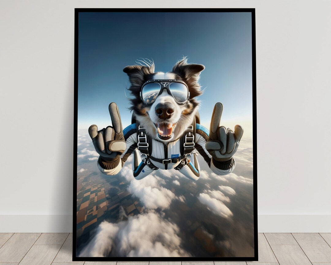Photograph of a Skydiving Border Collie, Epic Wall Art, Animal Print ...