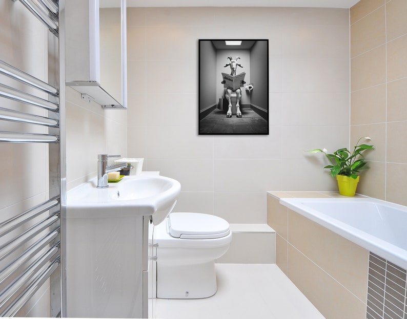 Photograph of a Goat Reading on the Toilet in Black and White, Fun ...