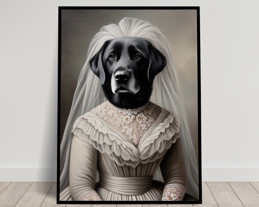 Portrait of a Black Labrador Wearing a Wedding Dress, Animal Wall Decor ...