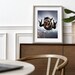 Photograph of a Skydiving Bat in Free Fall, Epic Wall Art, Animal Print ...