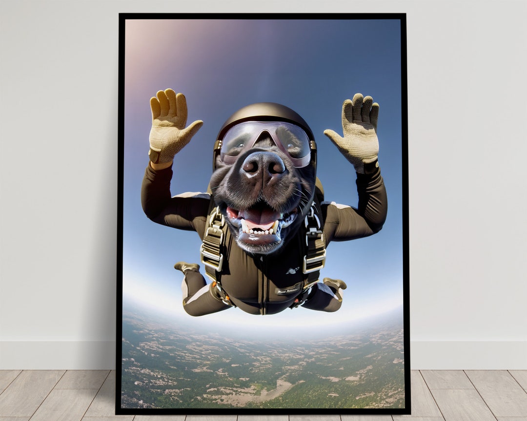 Photograph of a Skydiving Black Labrador, Epic Wall Art, Animal Print ...