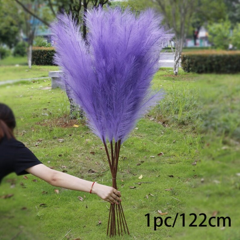 5 Stems Tall Pampas Grass, 3-4 Ft Tall Natural Pampas Grass, More ...