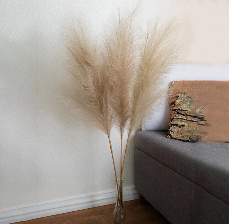 5 Stems Tall Pampas Grass, 3-4 Ft Tall Natural Pampas Grass, More ...