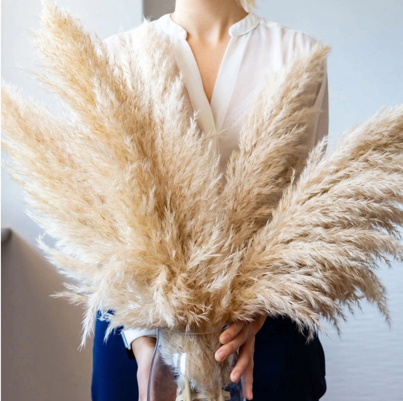 5 Stems Tall Pampas Grass, 3-4 Ft Tall Natural Pampas Grass, More ...