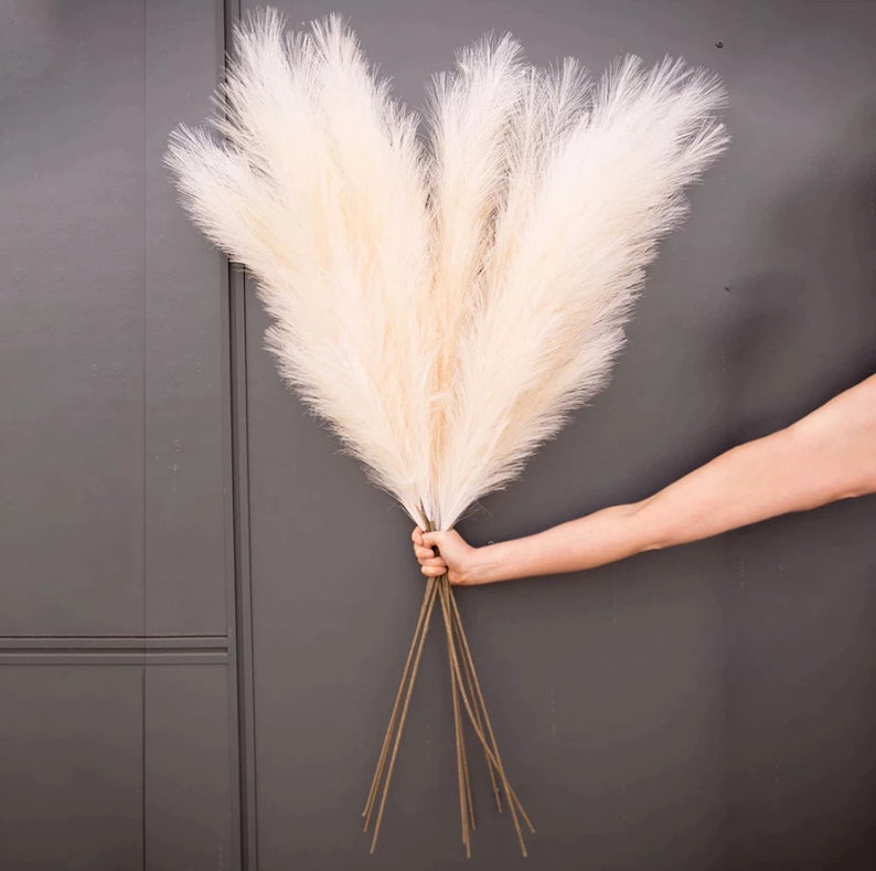 5 Stems Tall Pampas Grass, 3-4 Ft Tall Natural Pampas Grass, More ...