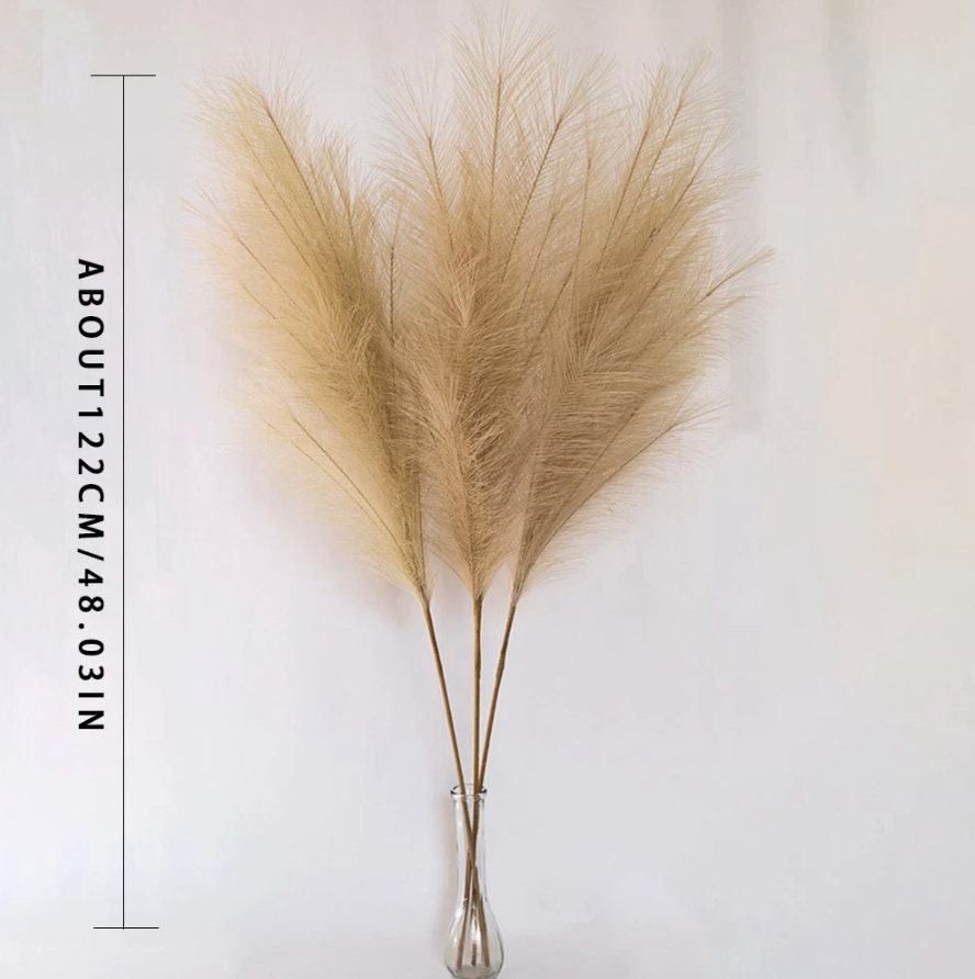 5 Stems Tall Pampas Grass, 3-4 Ft Tall Natural Pampas Grass, More ...