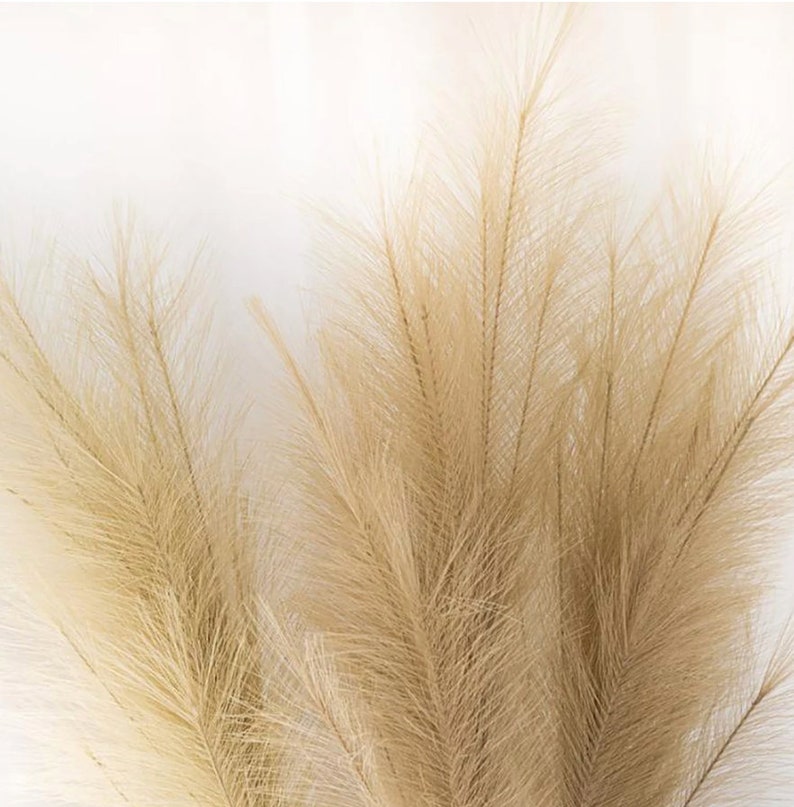 5 Stems Tall Pampas Grass, 3-4 Ft Tall Natural Pampas Grass, More ...