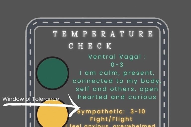 Nervous System State Regulation Chart - Etsy