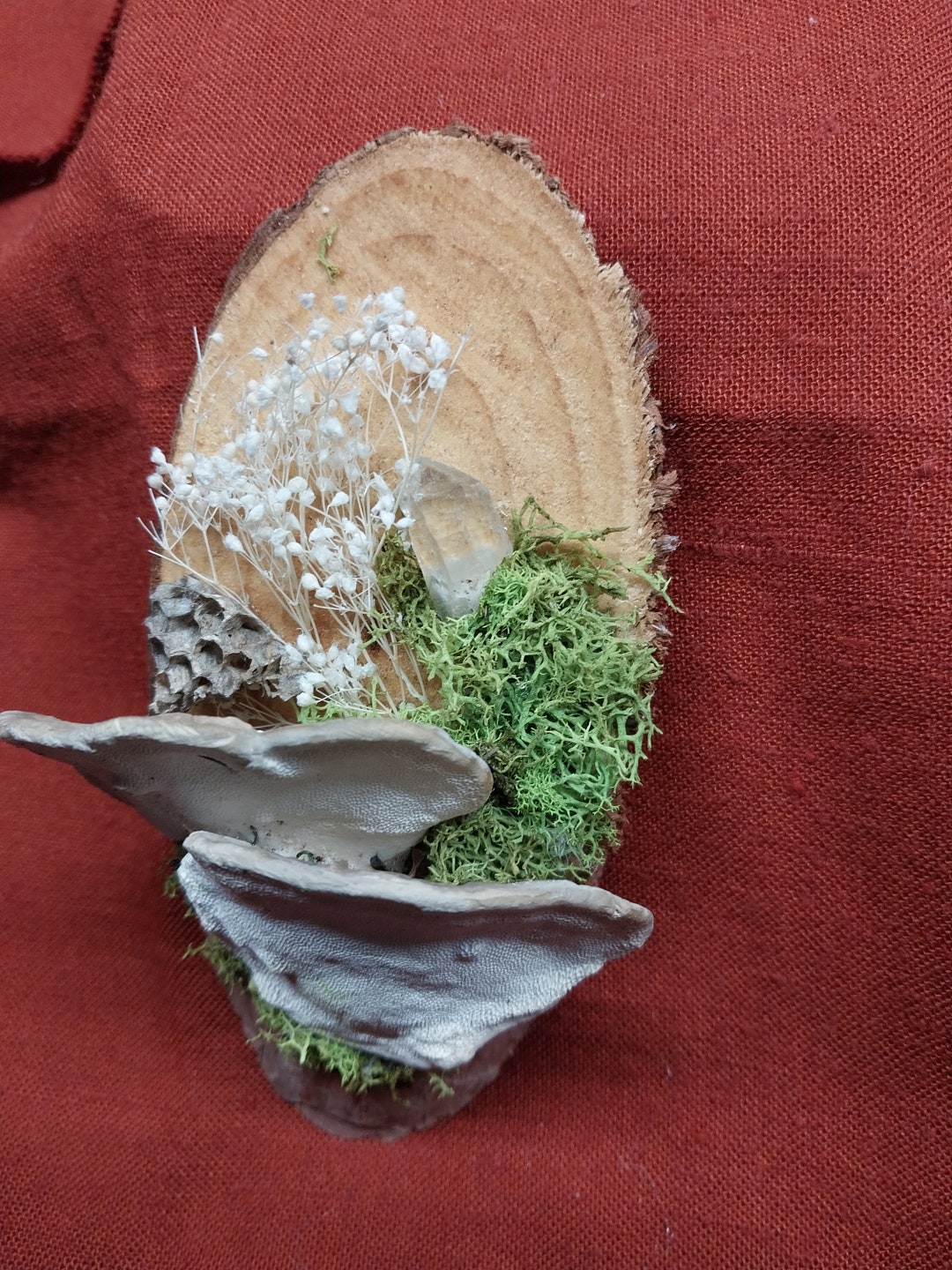 Slice of Nature - Etsy