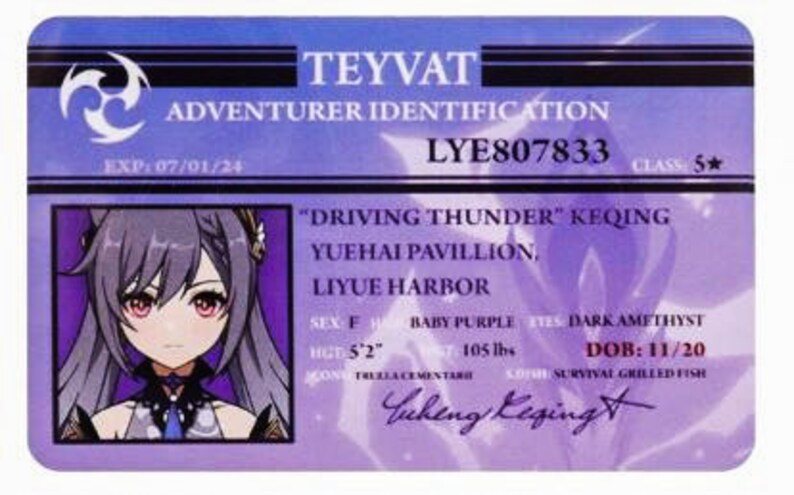 Genshin Impact Keqing Genshin Adventurer Card Genshin Passport ID ...