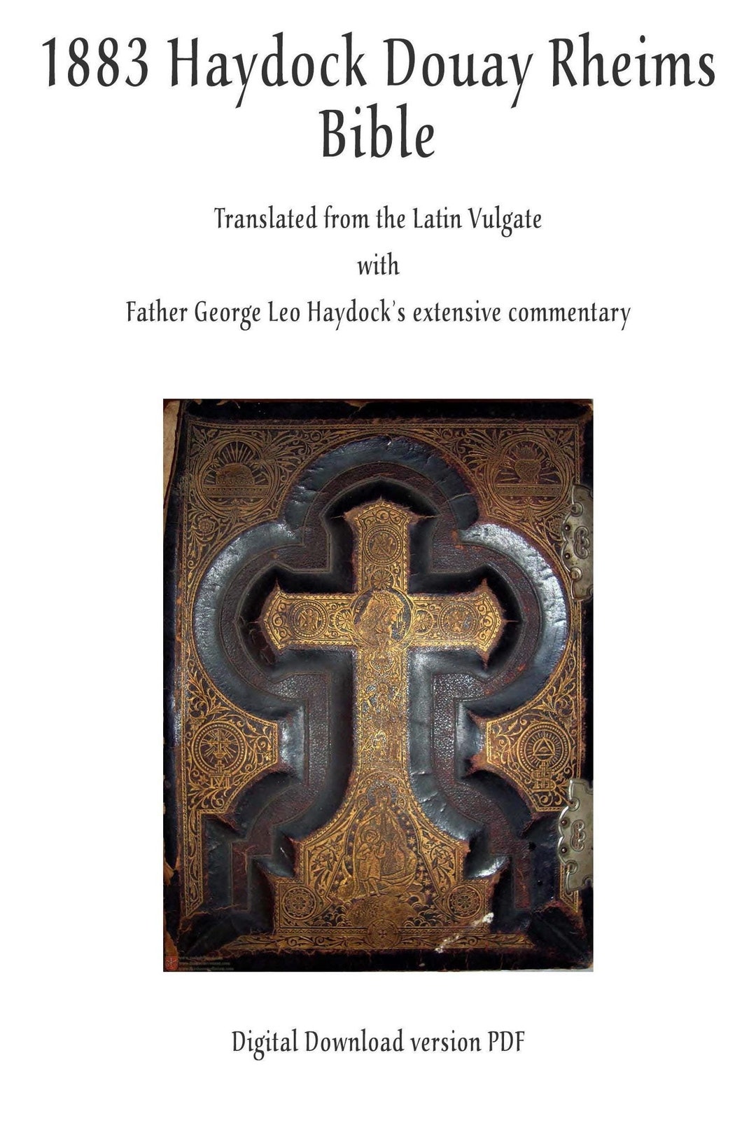 1883 Haydock Douay-rheims Bible Translated From the Latin Vulgate ...