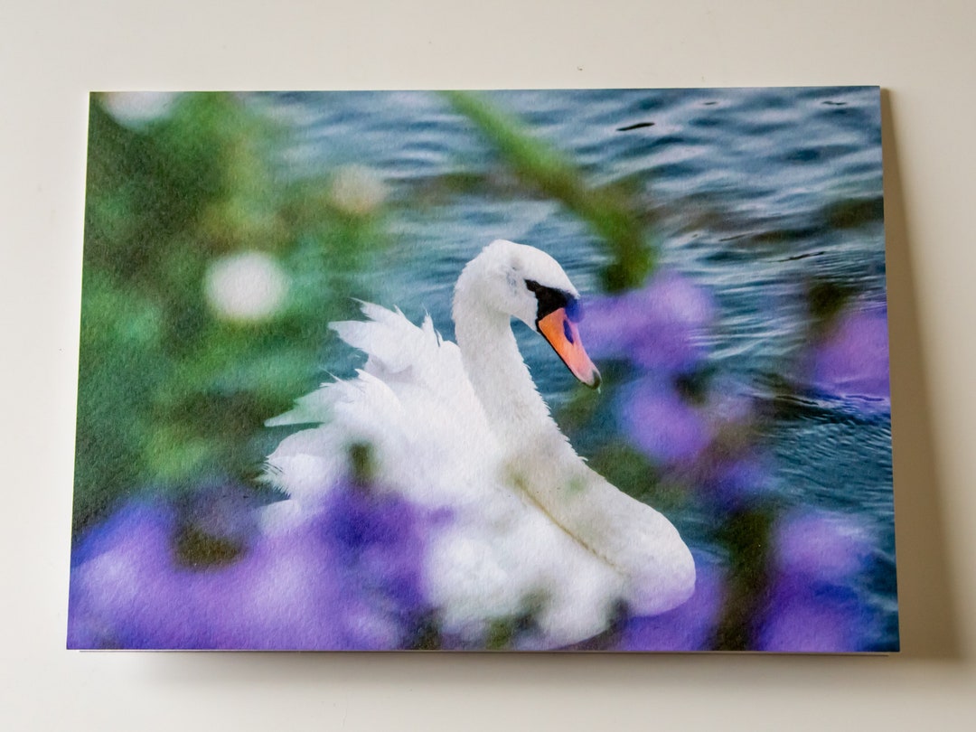 Four Swan Note Cards, Greeting Card, Photo, Hallstatt Austria, Bible ...