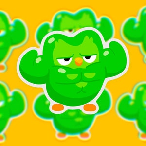 Duolingo Owl Sticker / Vinyl Sticker / Swole Duolingo/ Strong Duolingo ...